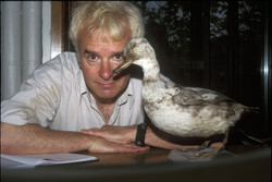 Glen Chilton | Official Publisher Page | Simon & Schuster