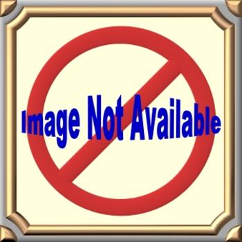 Celebrations Of Light | Book by Nancy Luenn, Mark Bender | Official ...