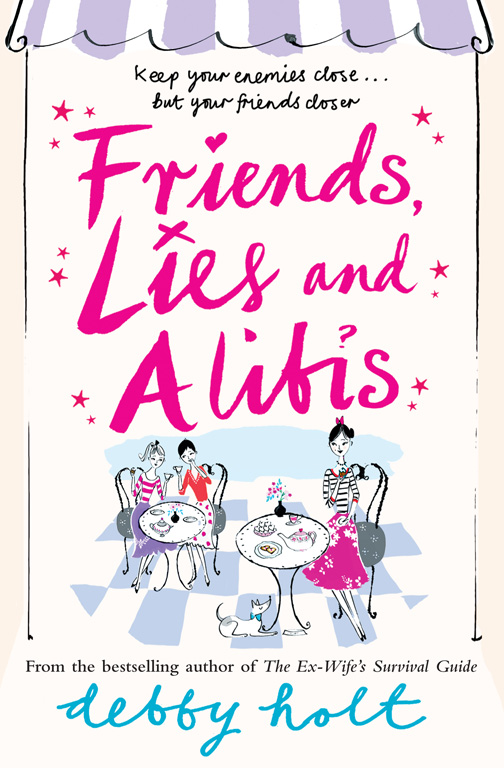 Friends, Lies and Alibis | Book by Debby Holt | Official Publisher Page ...