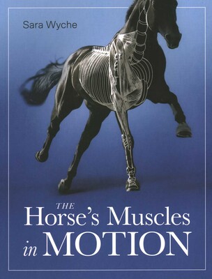 Horse's Muscles in Motion | Book by Sara Wyche | Official Publisher ...