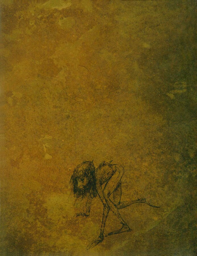 Faeries' Oracle | Book by Brian Froud | Official Publisher Page | Simon ...