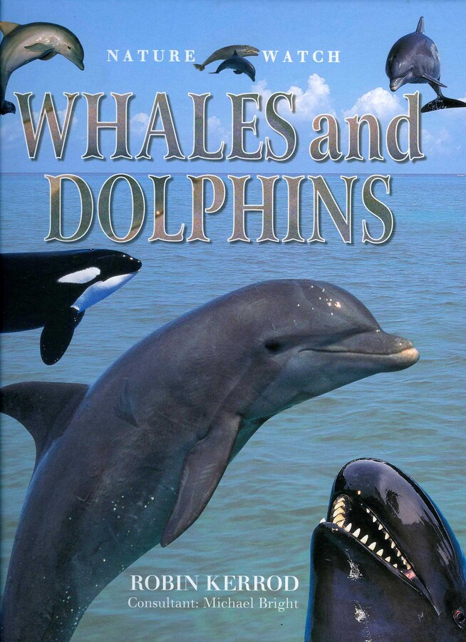 Nature Watch: Whales & Dolphins | Book by Robin Kerrod | Official Publisher Page | Simon & Schuster