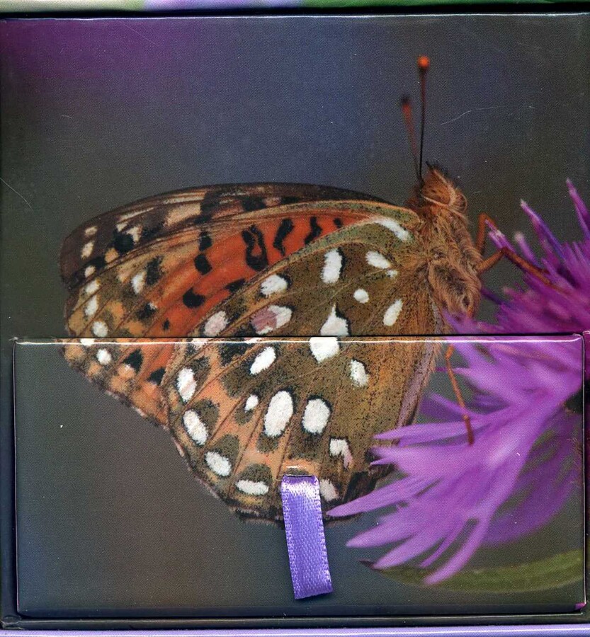 Painted Lady Butterfly - Book Summary & Video | Official Publisher Page ...