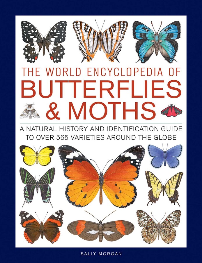 The World Encyclopedia of Butterflies & Moths | Book by Sally Morgan ...