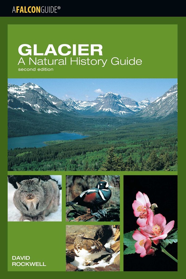 Glacier: A Natural History Guide | Book by David Rockwell | Official ...