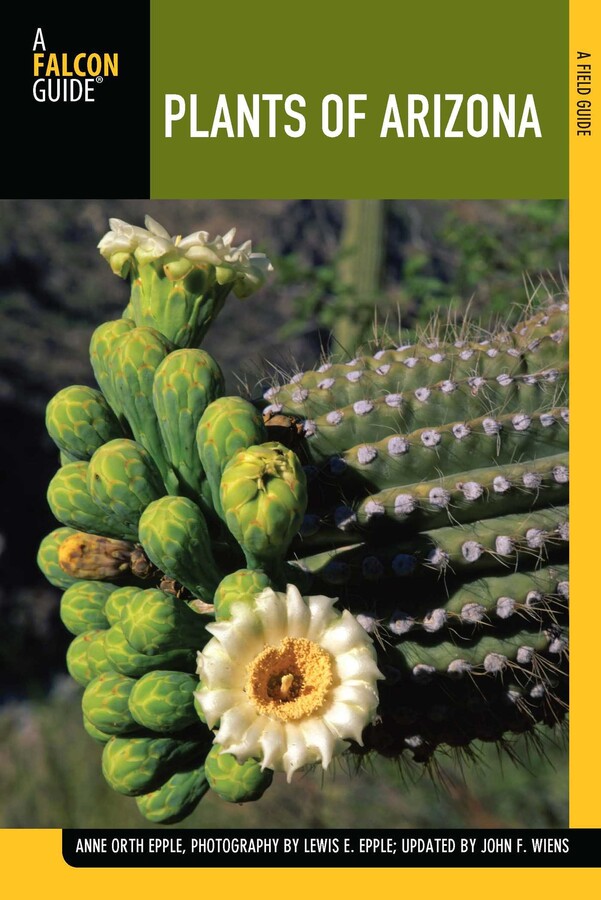 Plants of Arizona eBook by Anne Epple, John F. Wiens, Lewis Epple ...