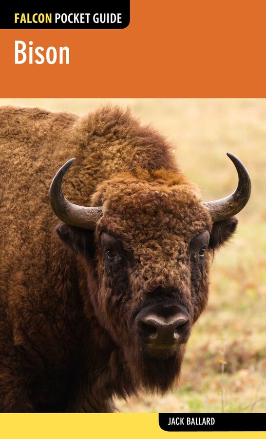 Bison | Book by Jack Ballard | Official Publisher Page | Simon & Schuster