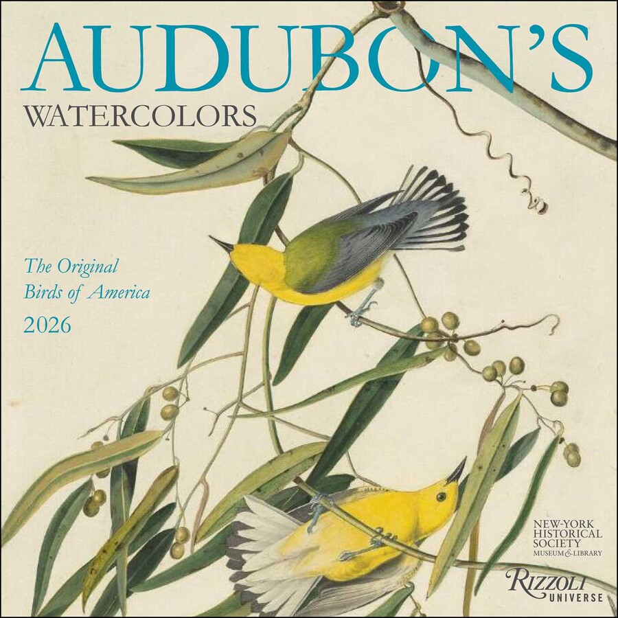 Audubon's Watercolors 2026 Wall Calendar - Book Summary & Video ...