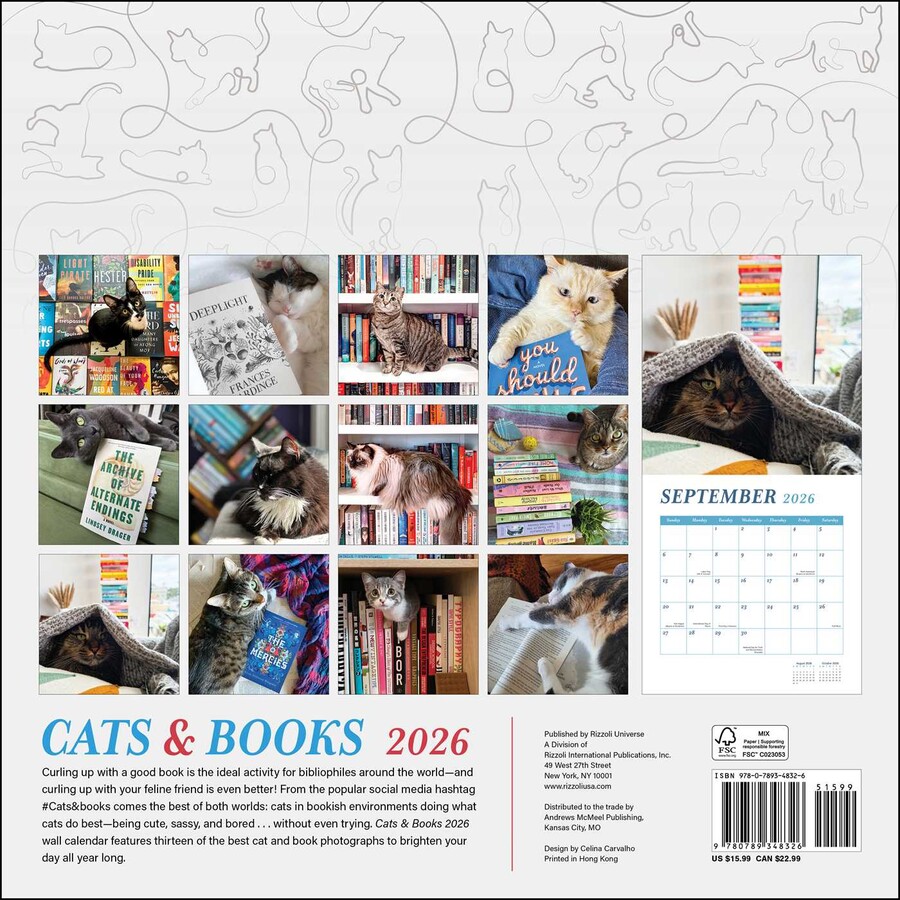 Cats and Books 2026 Wall Calendar - Book Summary & Video | Official ...