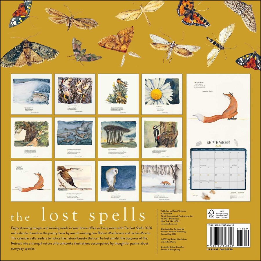 The Lost Spells 2026 Wall Calendar - Book Summary & Video | Official ...