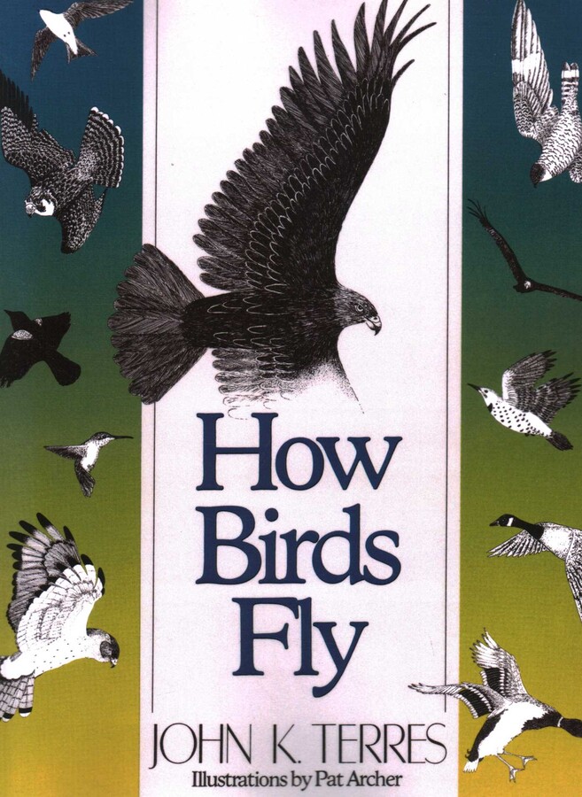 How Birds Fly | Book by John K. Terres | Official Publisher Page ...