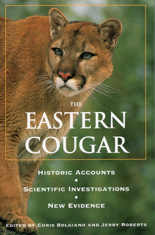 Eastern Cougar | Book by Chris Bolgiano, Jerry Roberts | Official ...