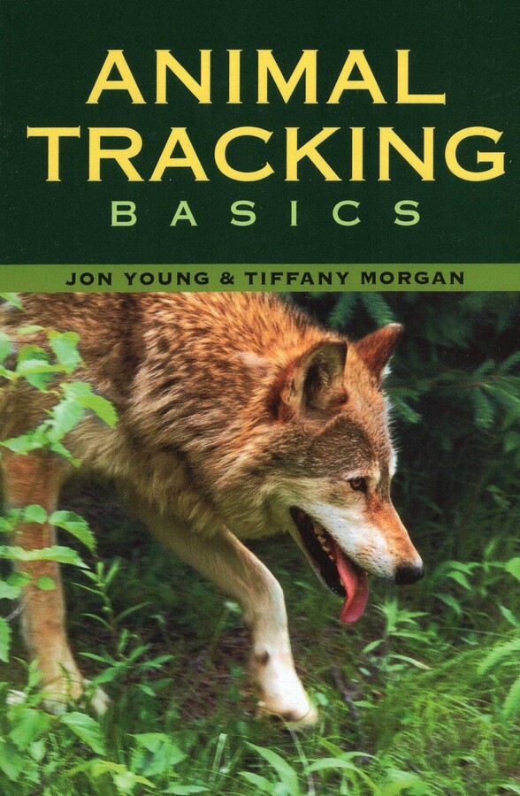 Animal Tracking Basics | Book by Tiffany Morgan, Jon Young | Official ...