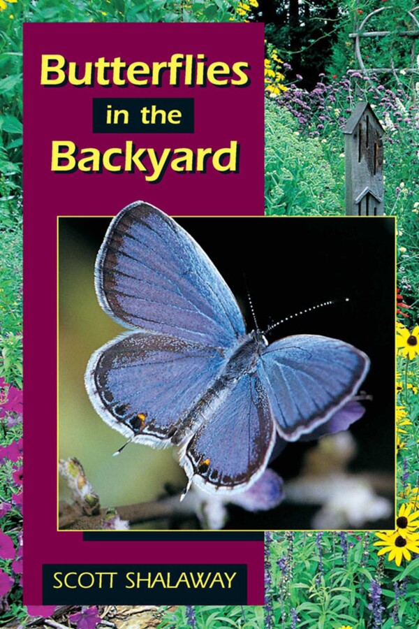 Butterflies in the Backyard eBook by Scott Shalaway | Official ...