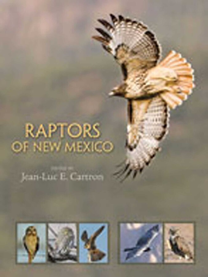 Raptors of New Mexico | Book by Jean-Luc E. Cartron | Official ...