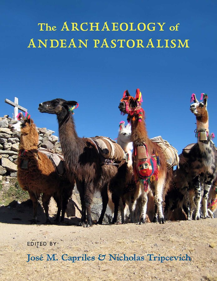 The Archaeology of Andean Pastoralism | Book by José M. Capriles ...