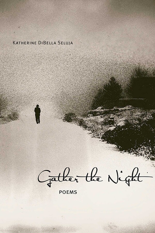 Gather the Night | Book by Katherine DiBella Seluja | Official ...