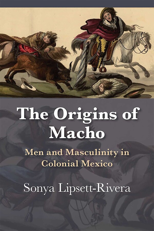 The Origins of Macho | Book by Sonya Lipsett-Rivera | Official ...