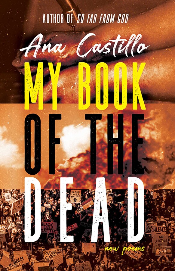 My Book of the Dead | Book by Ana Castillo | Official Publisher Page ...