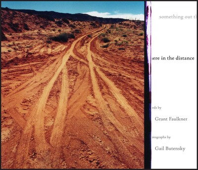 something out there in the distance | Book by Grant Faulkner, Gail ...