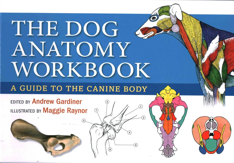 Dog Anatomy Workbook | Book by Andrew Gardiner, Maggie Raynor ...