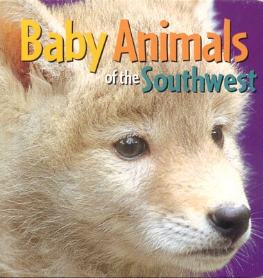 Baby Animals of the Southwest | Book by Rising Moon Editors | Official ...