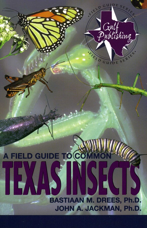 A Field Guide to Common Texas Insects | Book by Bastiaan M. Drees, John ...