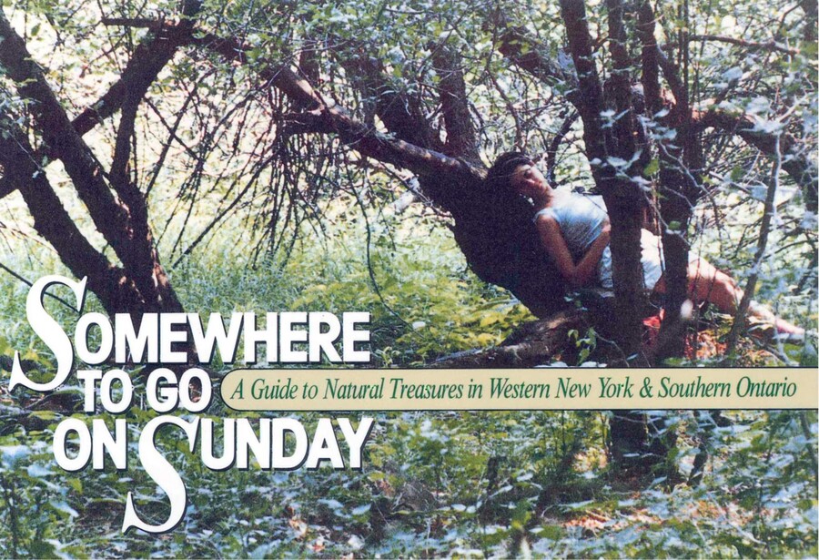 Somewhere to Go on Sunday | Book by Margaret Wooster | Official ...