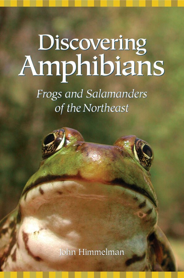 Discovering Amphibians | Book by John Himmelman | Official Publisher ...