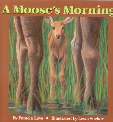A Moose's Morning | Book by Pamela Love, Lesia Sochor | Official ...