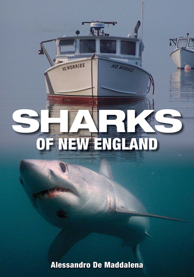 Sharks of New England | Book by Alessandrao De Maddalena | Official ...