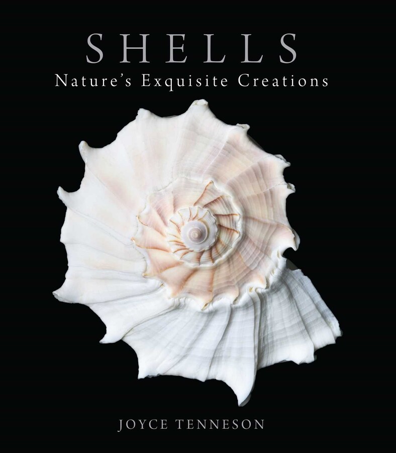 Shells eBook by Joyce Tenneson | Official Publisher Page | Simon ...