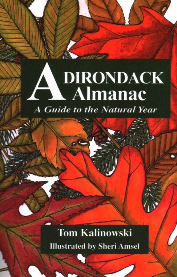 Adirondack Almanac | Book by Tom Kalinowski, Sheri Amsel | Official ...