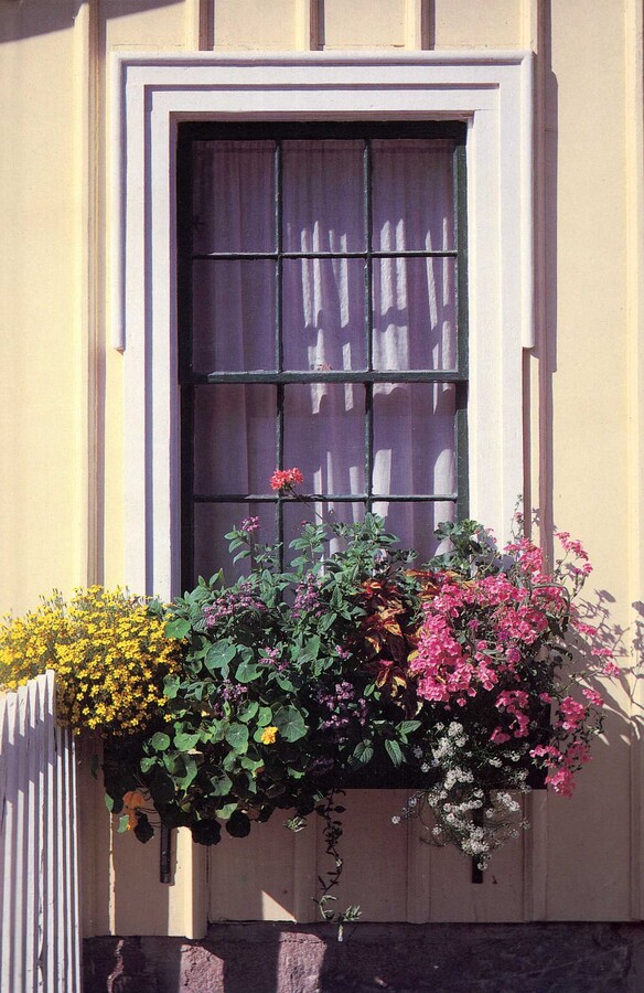 Window Box Journal | Book by Mystic Seaport Museum | Official Publisher ...