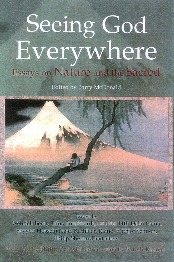Seeing God Everywhere | Book by Barry McDonald, Satish Kumar, Philip ...