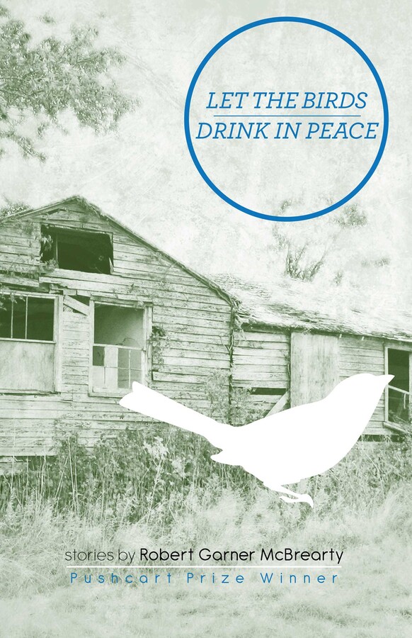 Let the Birds Drink in Peace | Book by Robert Garner McBrearty ...