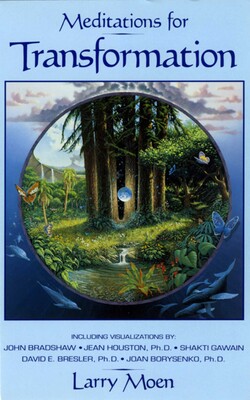 Meditations for Transformation eBook by Larry Moen | Official Publisher ...
