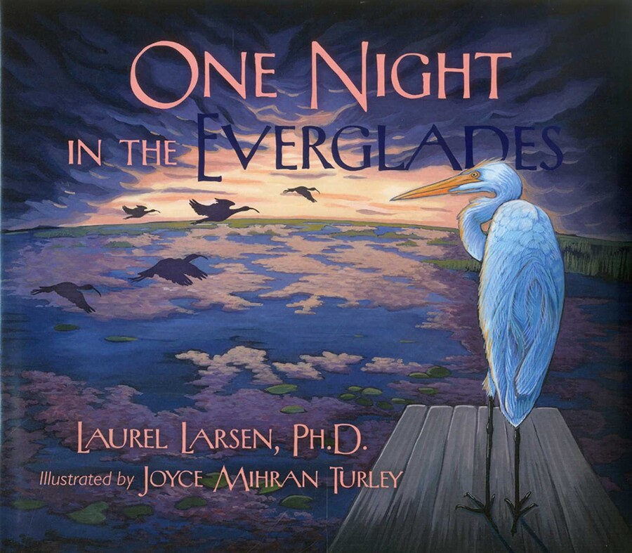 One Night in the Everglades | Book by Laurel Larsen, Joyce Mihran ...