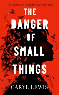 The Danger of Small Things | Book by Caryl Lewis | Official Publisher ...