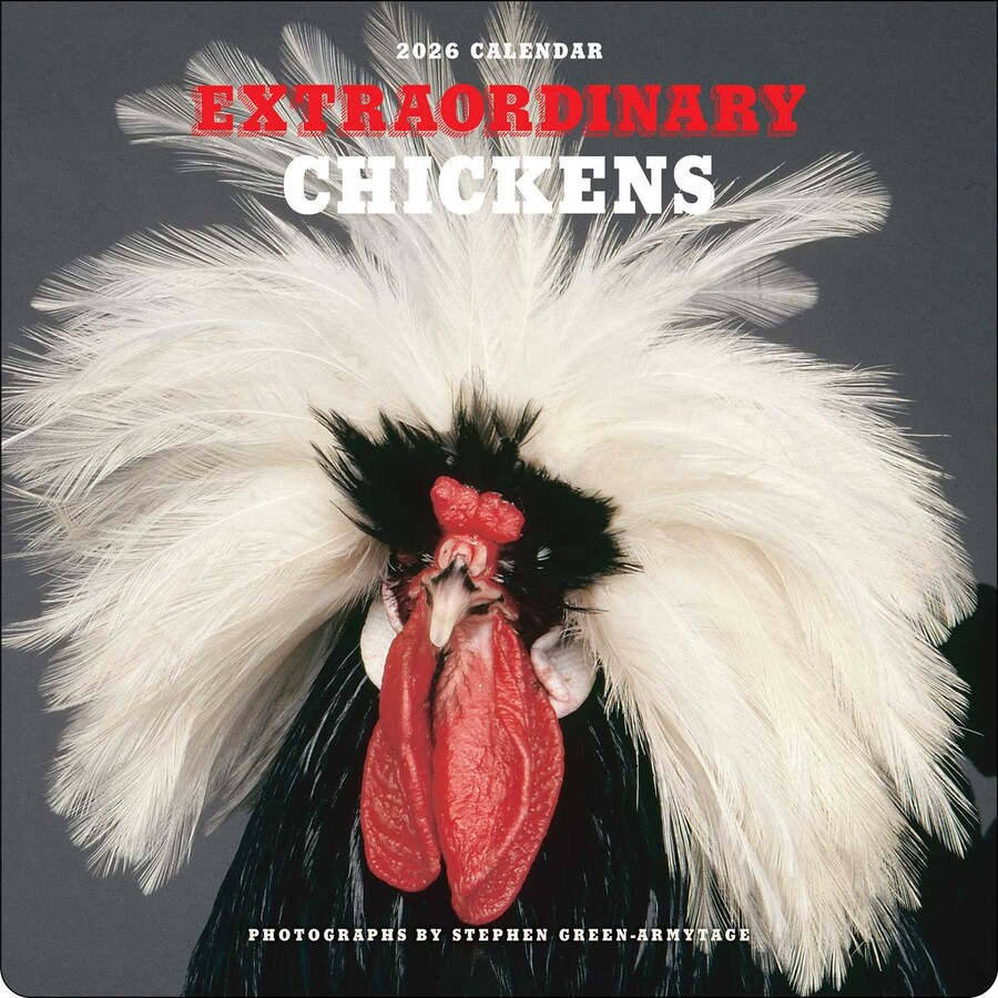 Extraordinary Chickens 2026 Wall Calendar - Book Summary & Video | Official Publisher Page ...