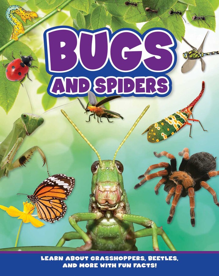 Bugs and Spiders eBook by Flying Frog Publishing | Official Publisher ...