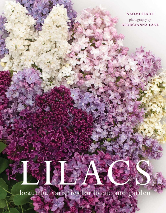 Lilacs | Book by Naomi Slade, Georgianna Lane | Official Publisher Page ...