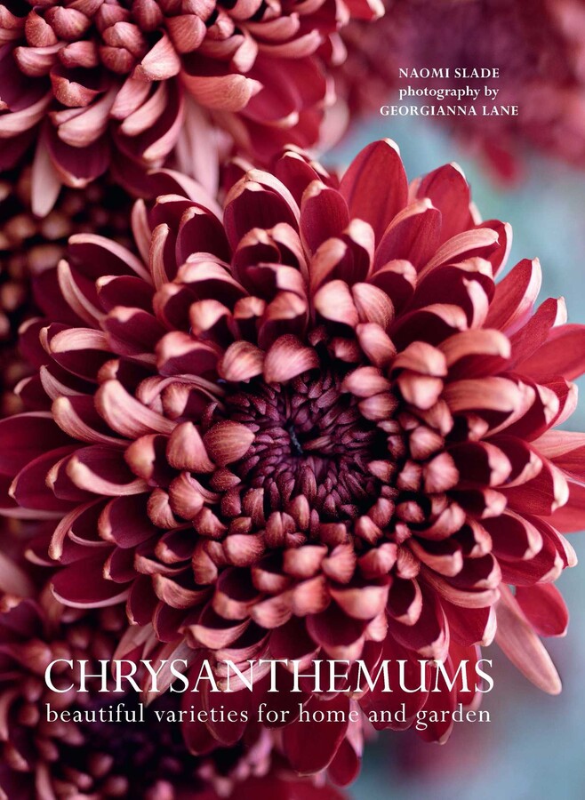 Chrysanthemums | Book by Naomi Slade, Georgianna Lane | Official ...