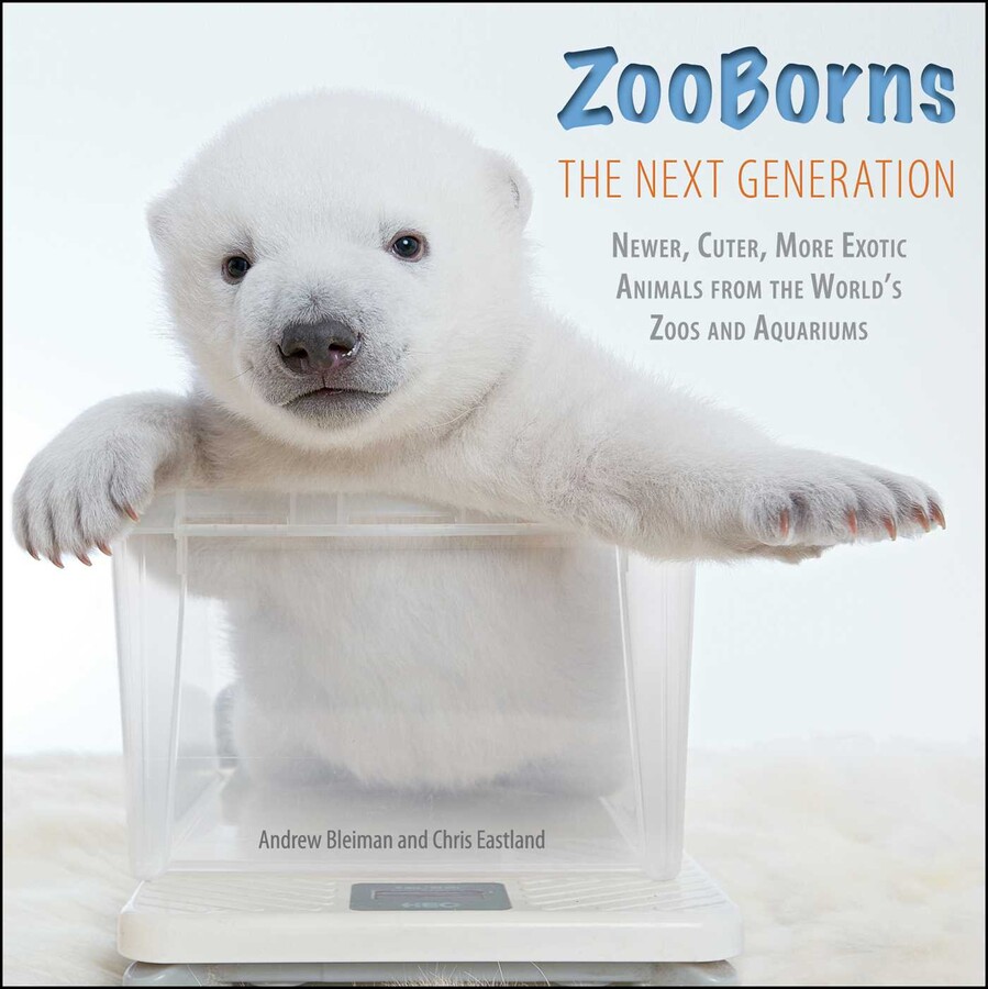 ZooBorns The Next Generation eBook by Andrew Bleiman, Chris Eastland ...