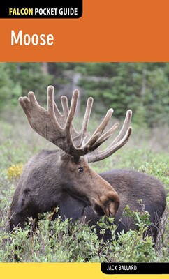 Moose eBook by Jack Ballard | Official Publisher Page | Simon & Schuster AU