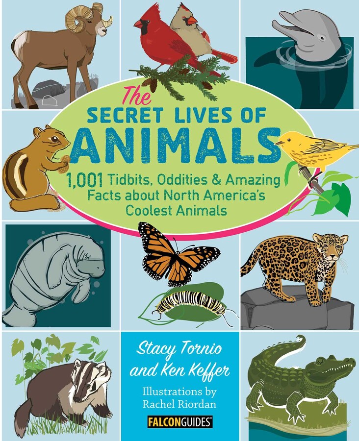 The Secret Lives of Animals | Book by Stacy Tornio, Ken Keffer ...
