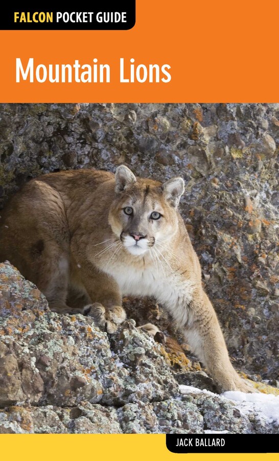 Mountain Lions eBook by Jack Ballard | Official Publisher Page | Simon ...