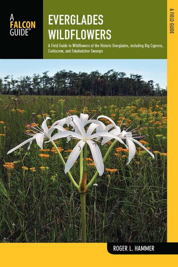 Everglades Wildflowers eBook by Roger L. Hammer | Official Publisher ...