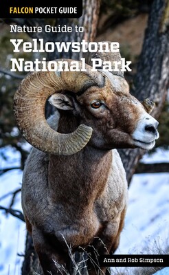 Nature Guide to Yellowstone National Park eBook by Ann Simpson, Rob ...