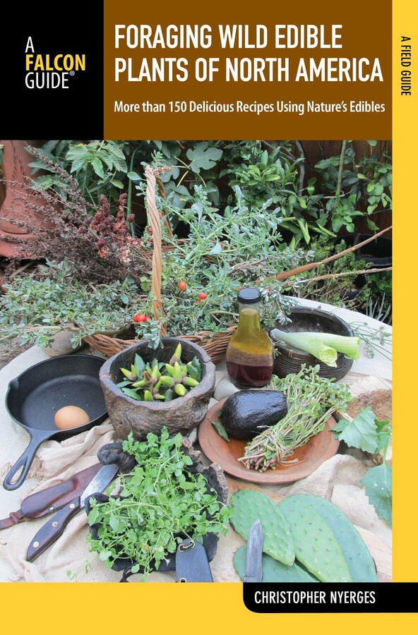 Foraging Wild Edible Plants of North America eBook by Christopher ...